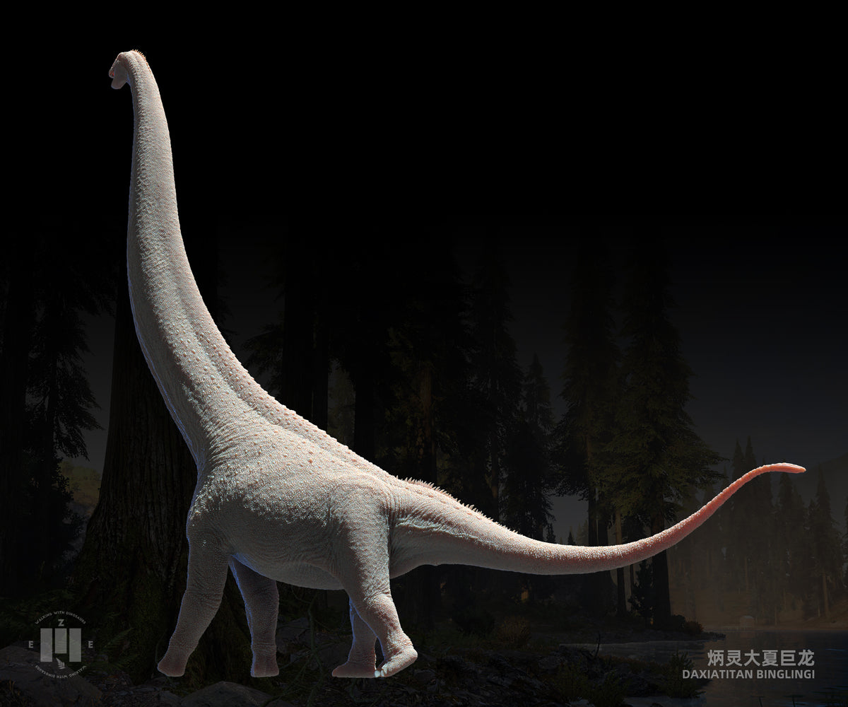 ZEE STUDIO Daxiatitan binglingi Model – Lana Time Shop