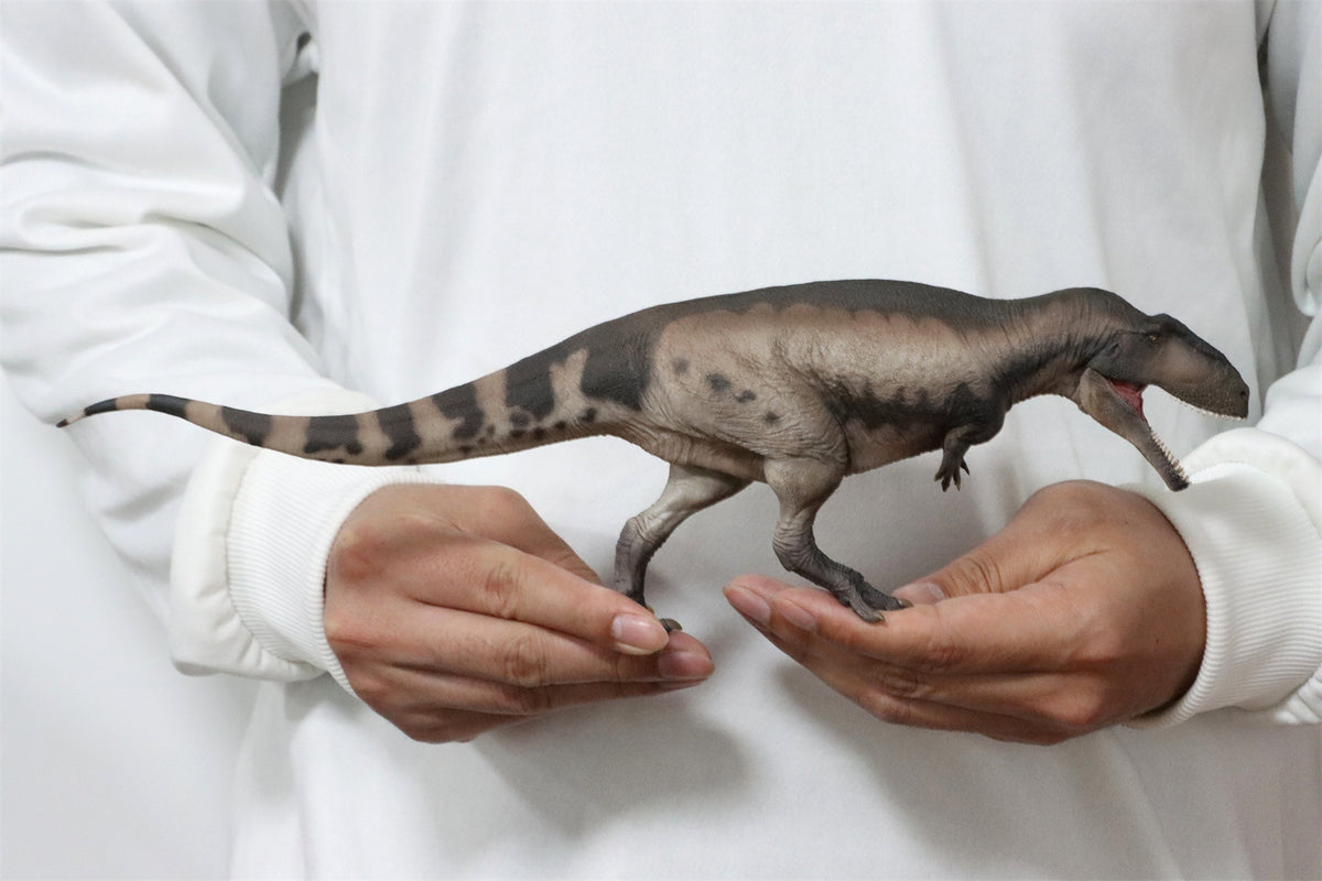 PNSO 68 Mapusaurus Mila Model – Lana Time Shop