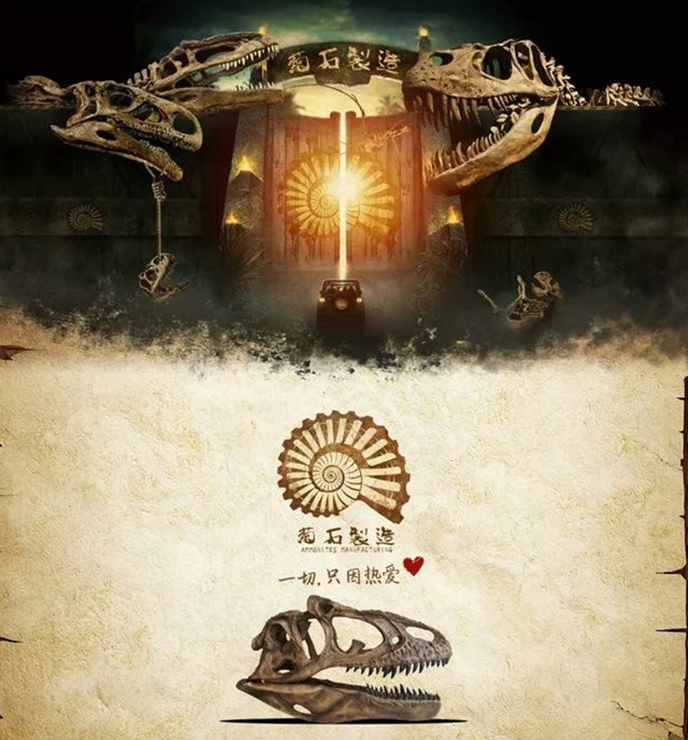 AMMONITES MANUFACTURING – Lana Time Shop