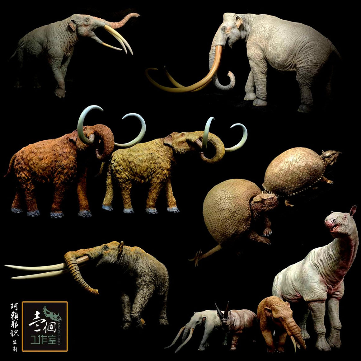 Collections – Lana Time Shop