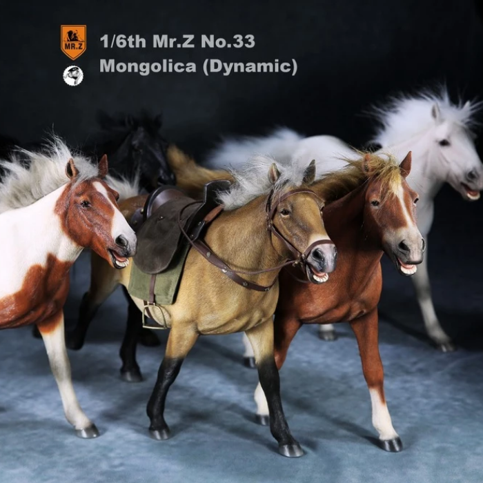 Collections – Lana Time Shop