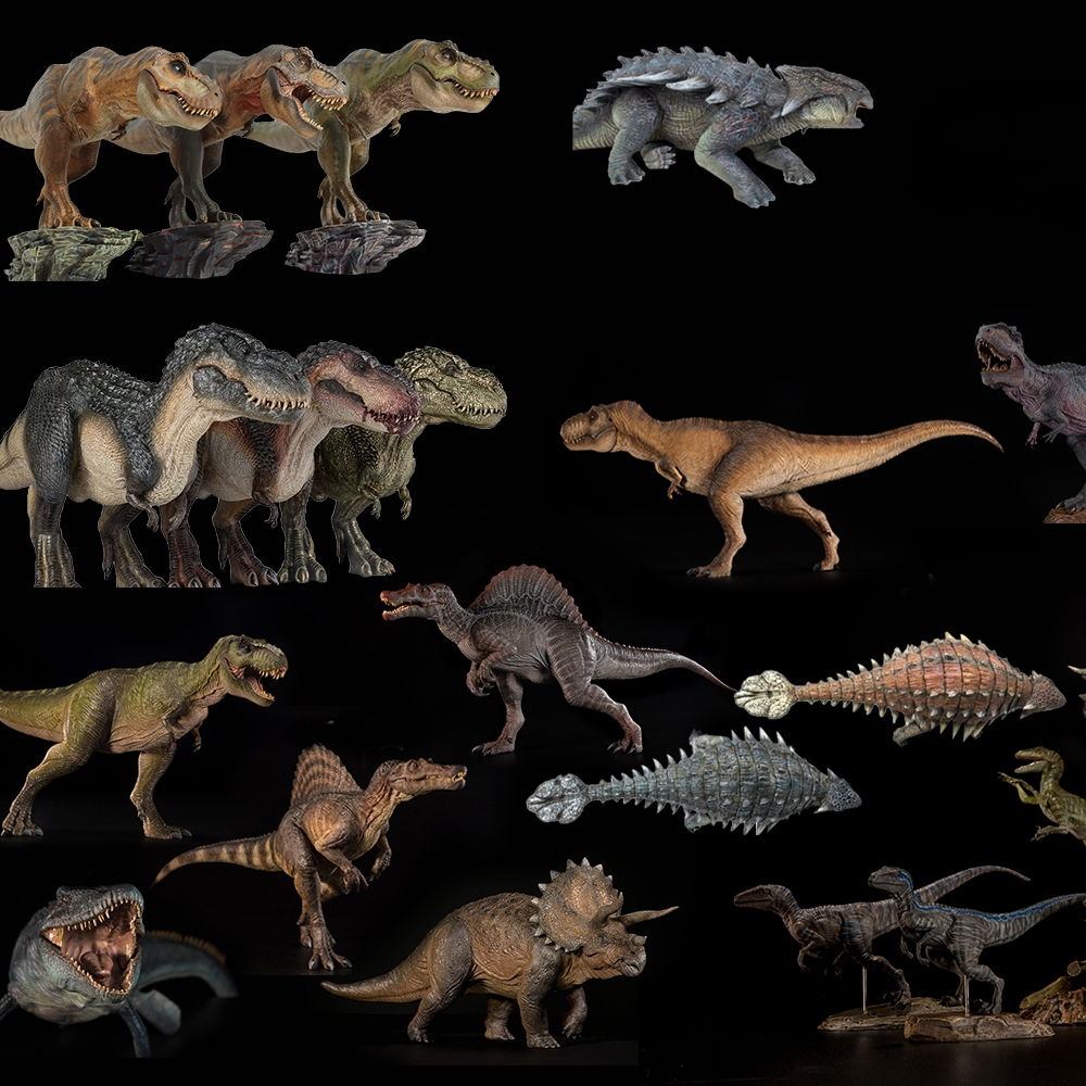 Collections – Lana Time Shop