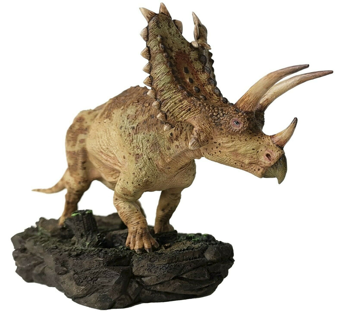 XINYAN STUDIO – Lana Time Shop