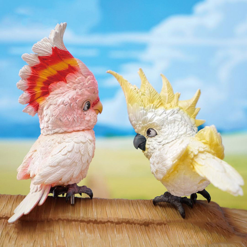 Cacatua Leadbeateri & Cacatua Galerita Parrot Model
