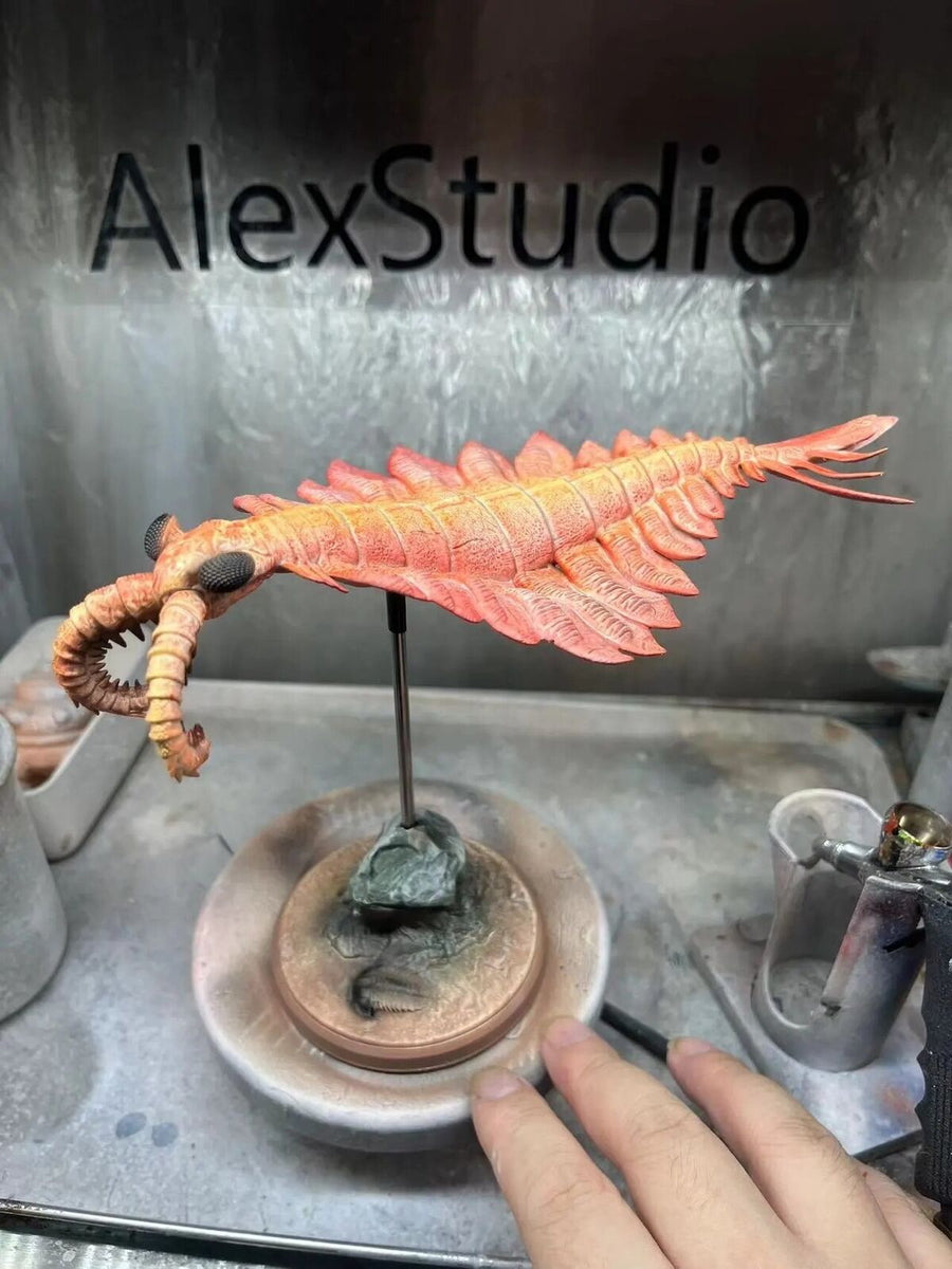 Alex Studio Anomalocaris Canadensis Model – Lana Time Shop