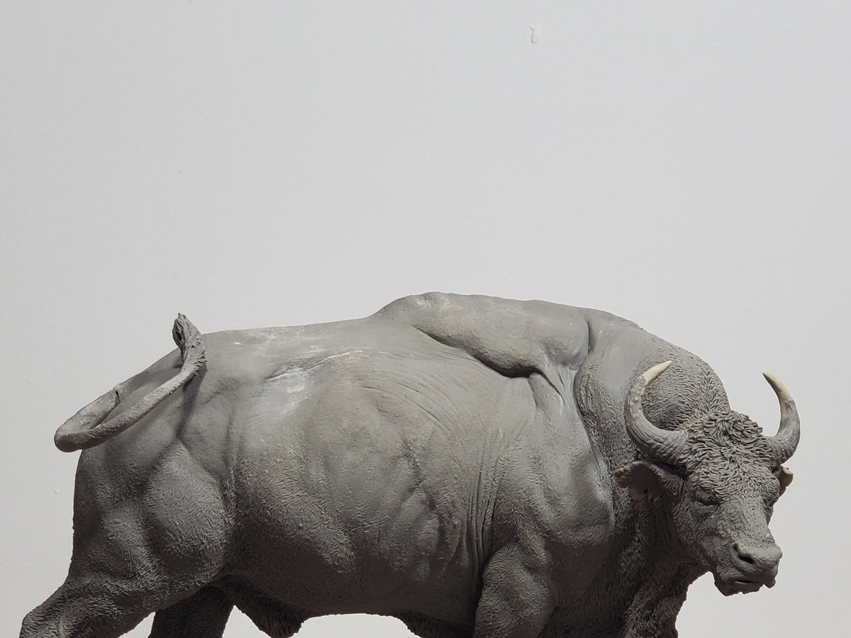 TUNAN 1/18 Scale Bos frontalis Gaur Model – Lana Time Shop