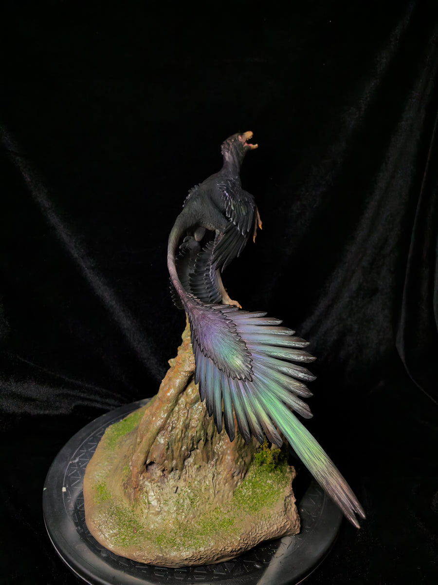 Lazur Studio 1/2 Scale Microraptor Model – Lana Time Shop