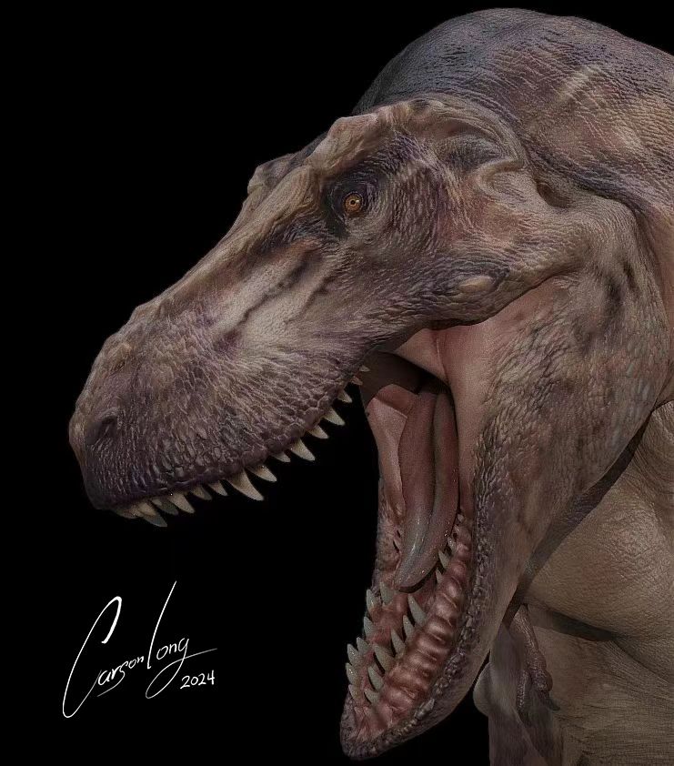Carson Long STUDIO Tyrannosaurus Rex Sue Model – Lana Time Shop