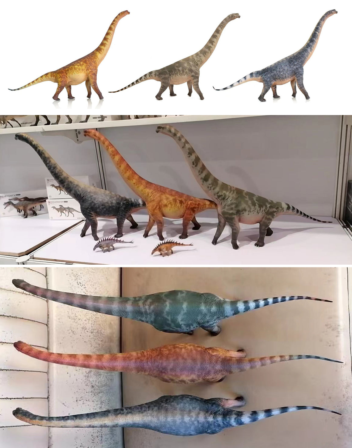 HAOLONGGOOD 1:35 Scale Brachiosaurus Model – Lana Time Shop