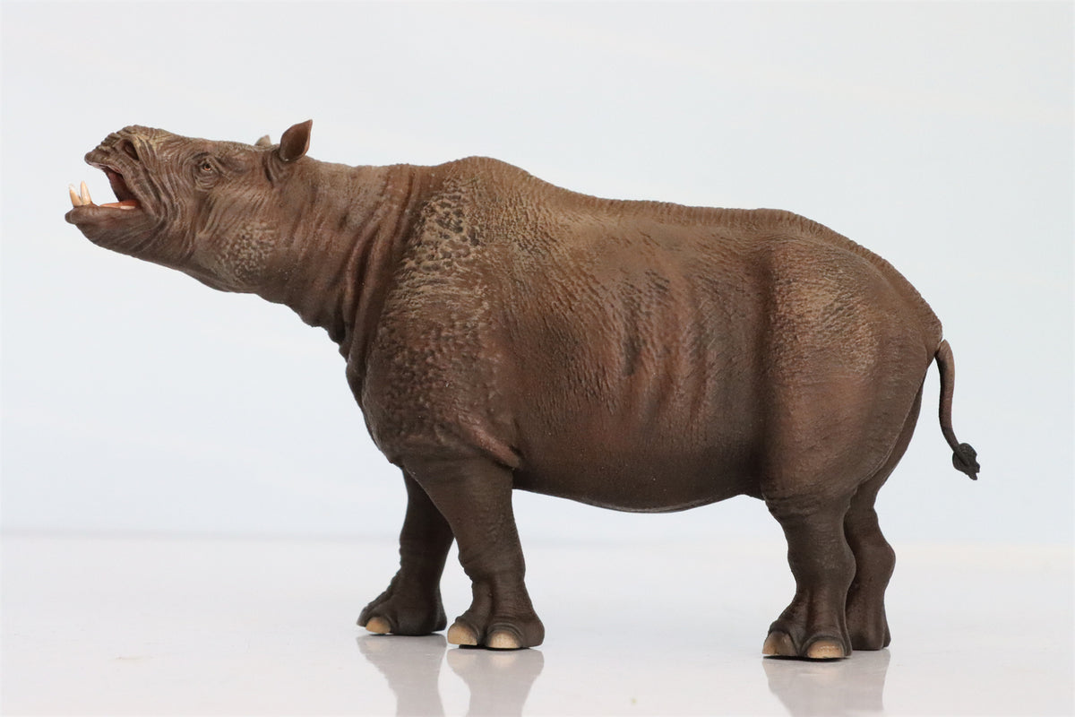 DINONE STUDIO 1/20 Chilotherium Statue – Lana Time Shop
