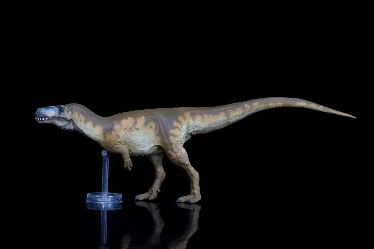PNSO Megalosaurus Edward Model – Lana Time Shop