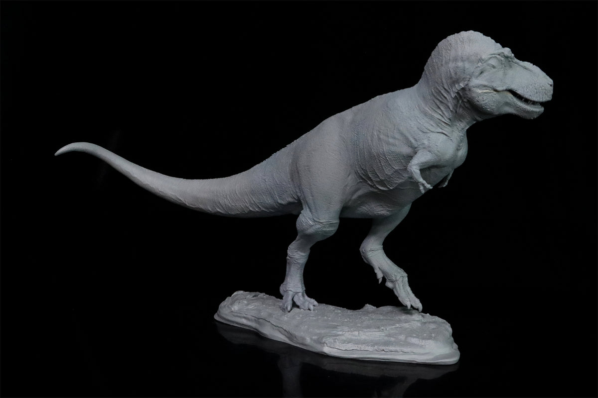 Sumeru Studio 1/18 Scale Tyrannosaurus Rex "Reg" Model – Lana Time Shop