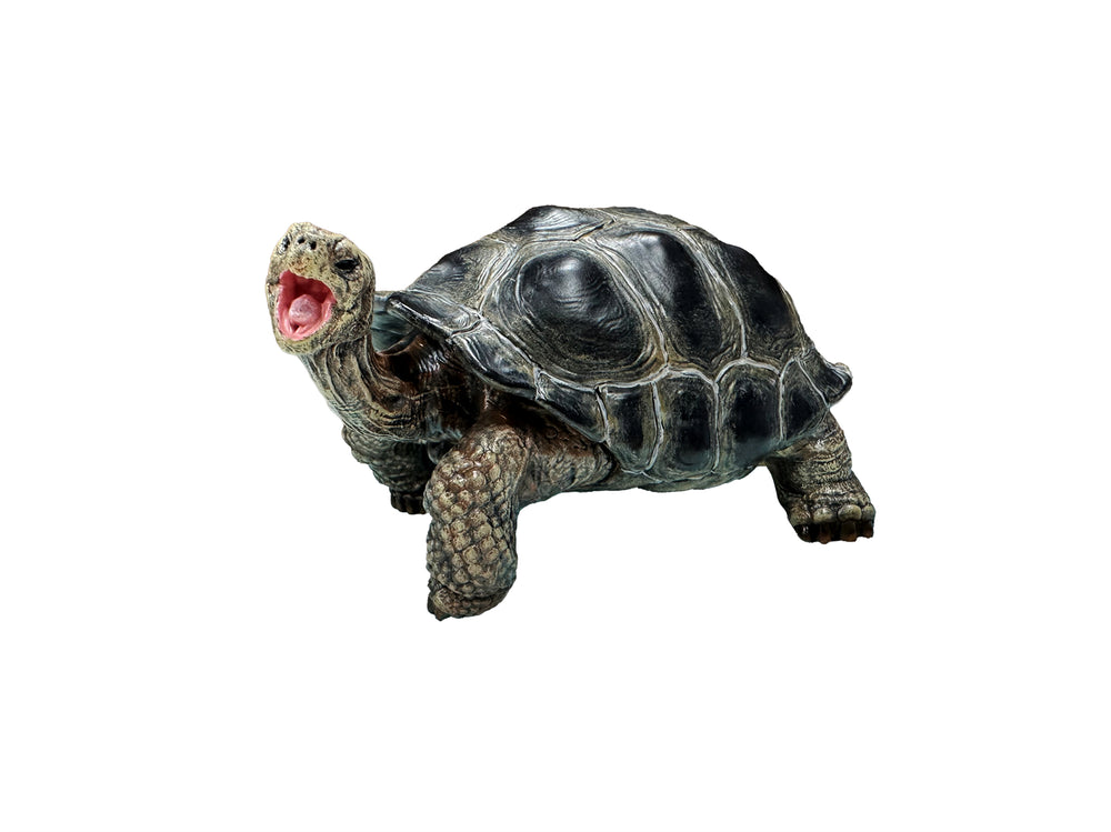 BOWUZHI Studio Chelonoidis Niger Model Realistic Turtle