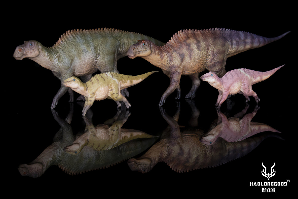 HAOLONGGOOD 1:35 Scale Maiasaura Mother and Son Model – Lana Time Shop