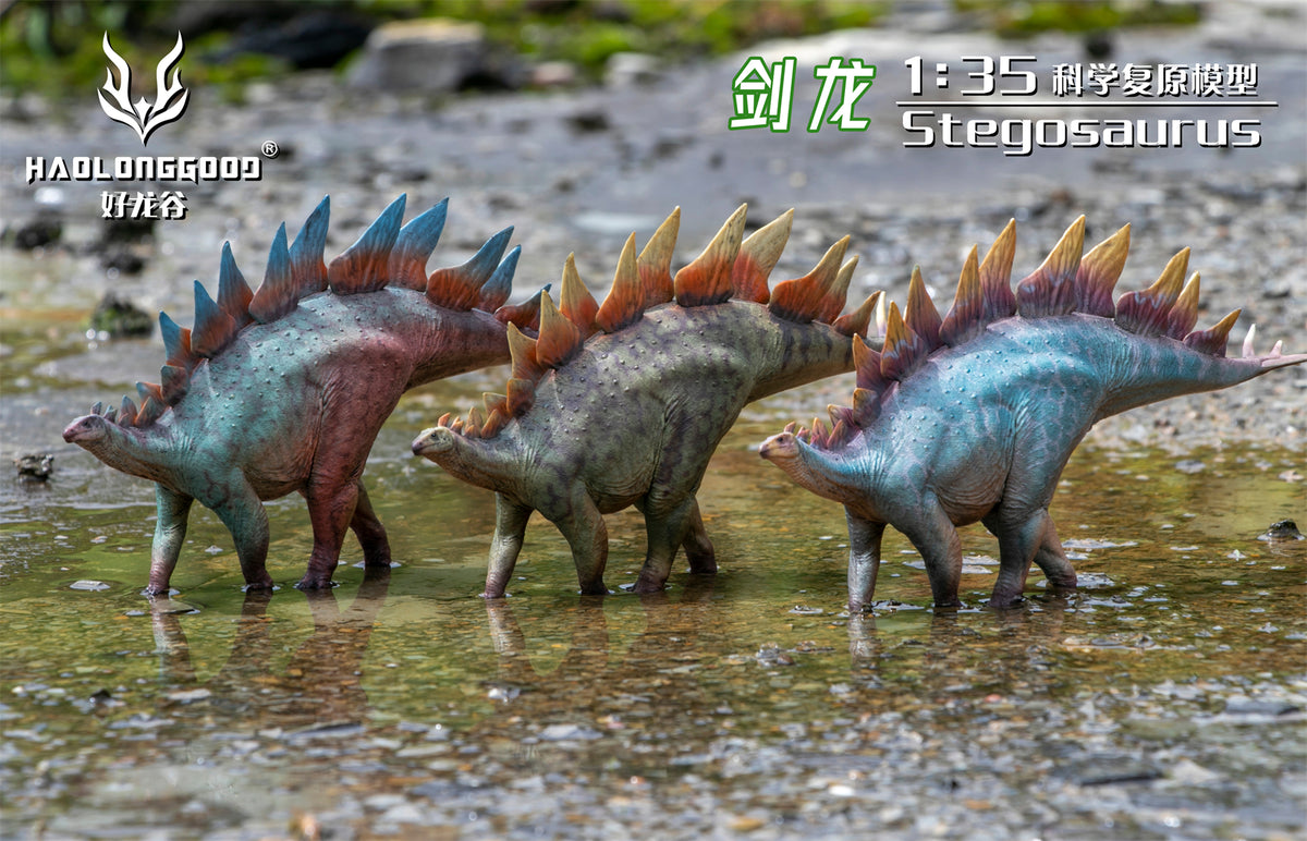 HAOLONGGOOD 1:35 Scale Stegosaurus Model – Lana Time Shop