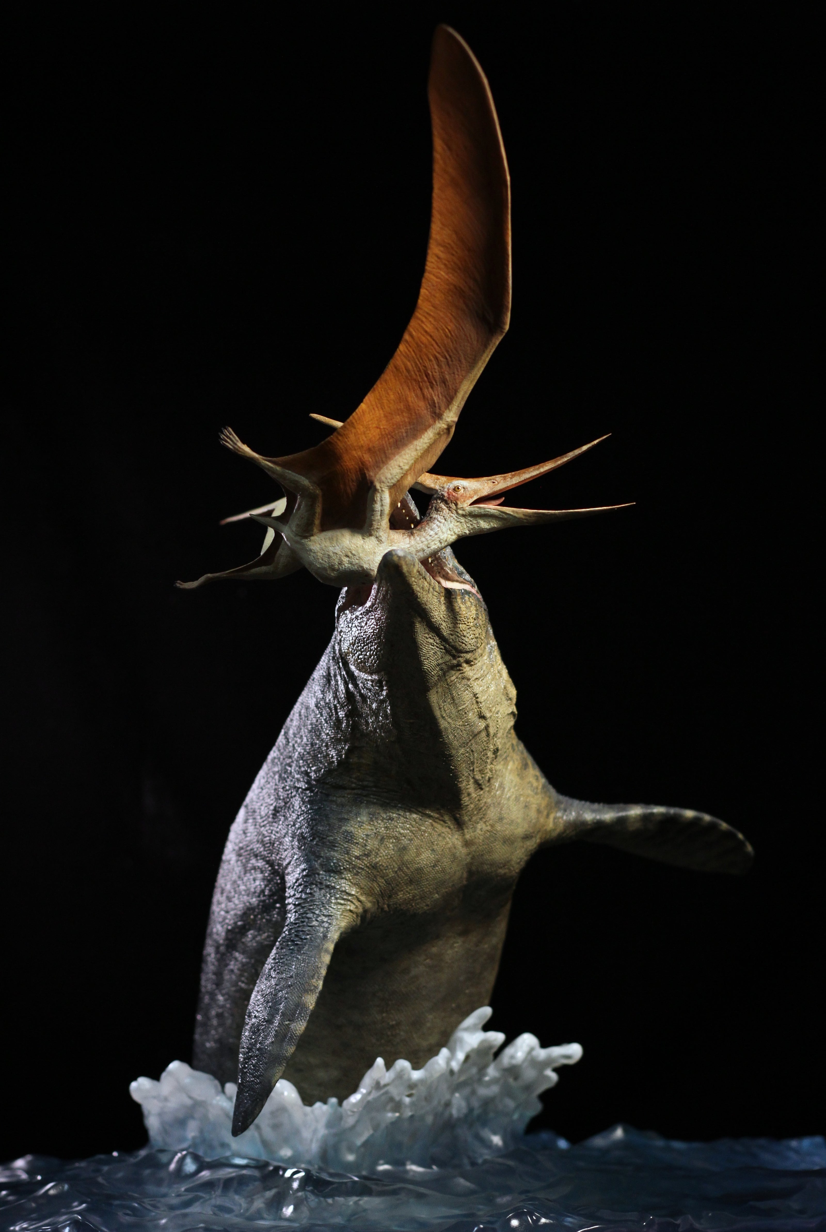 SHOWANNA 1:15 Scale Mosasaurus hoffmanni preying on Barbaridactylus Sc