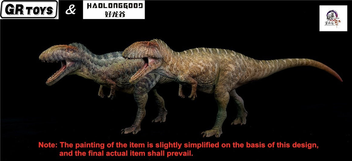 Collections – Lana Time Shop