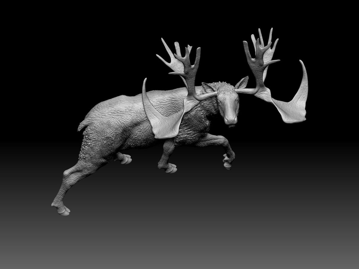 Cervalces scotti Model – Lana Time Shop