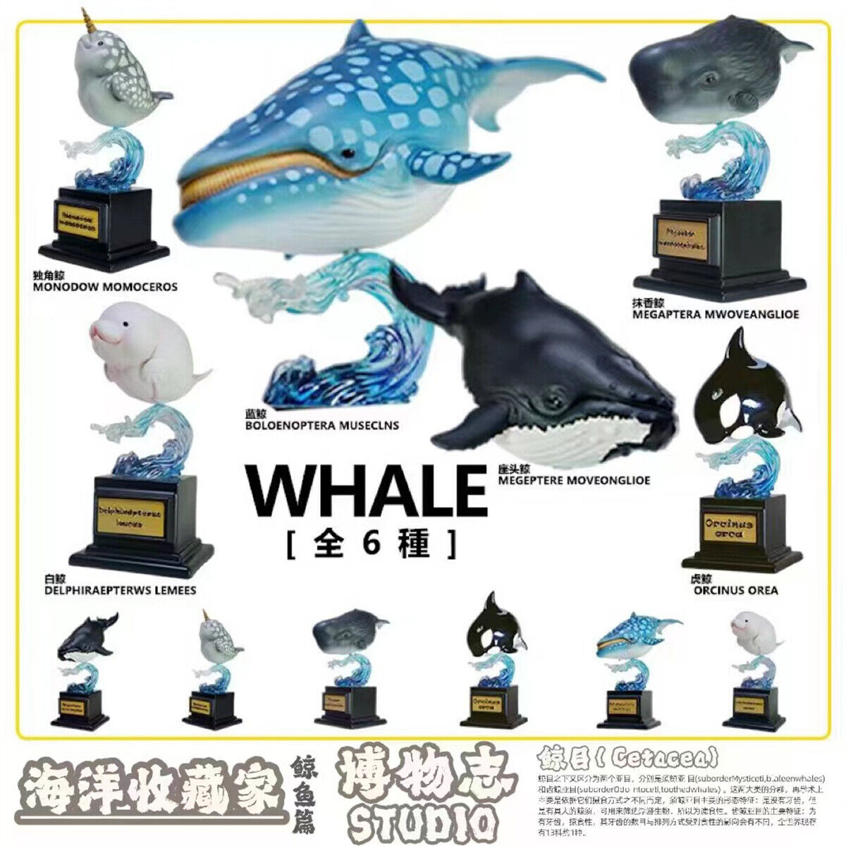 Whale Blind Box Model – Lana Time Shop