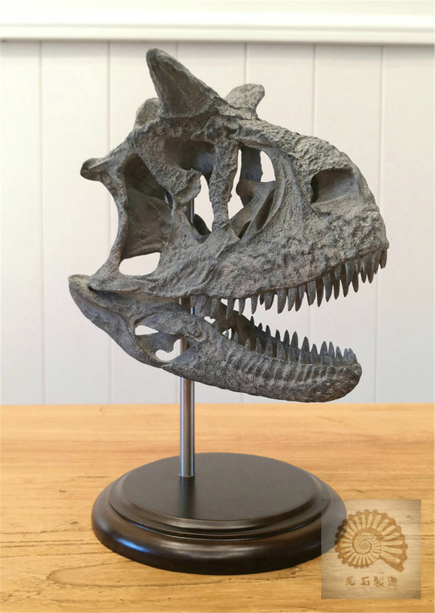 Carnotaurus Skull Skeleton Model – Lana Time Shop