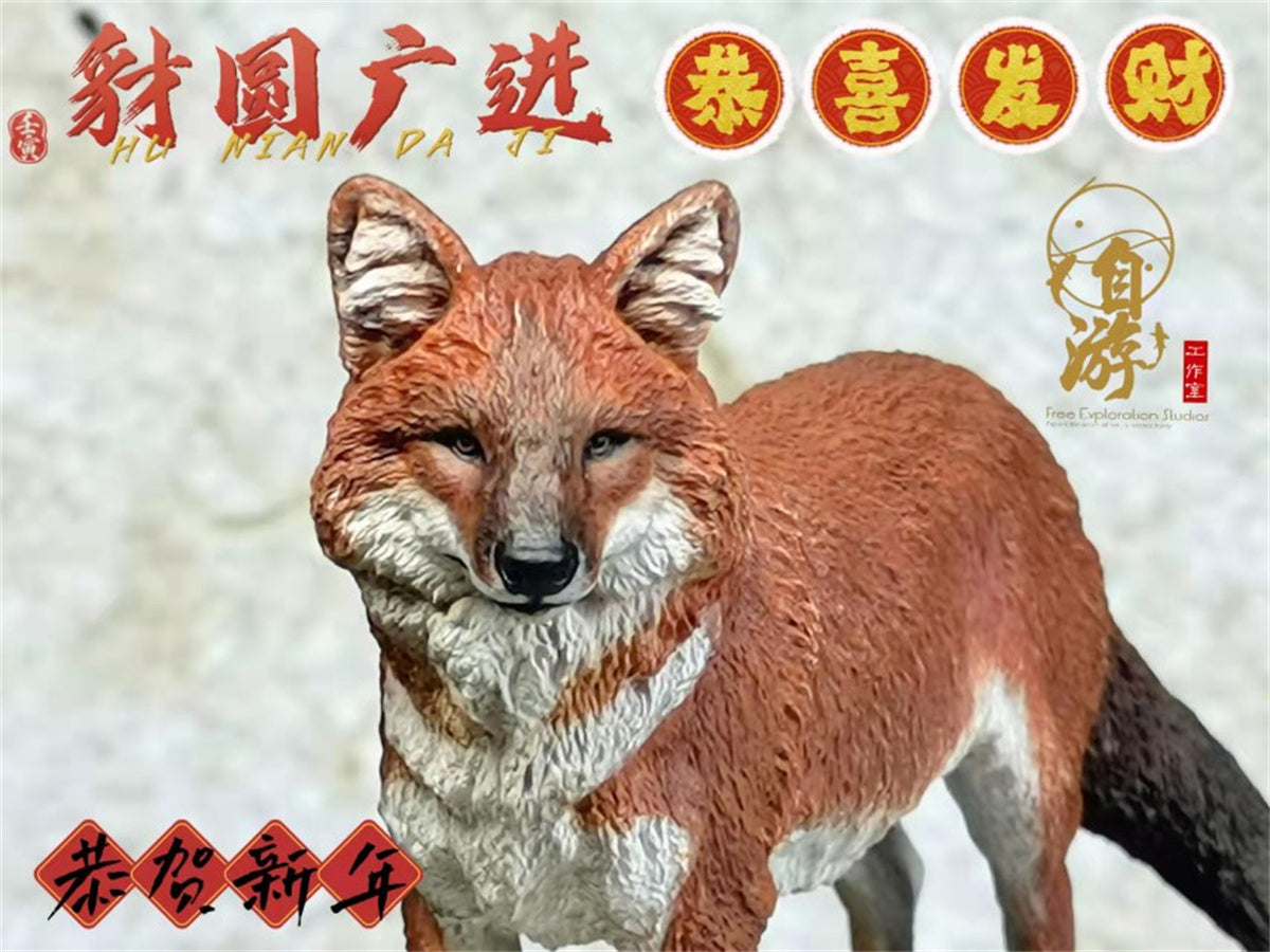 Chinese Dhole and Indian Dhole Model – Lana Time Shop