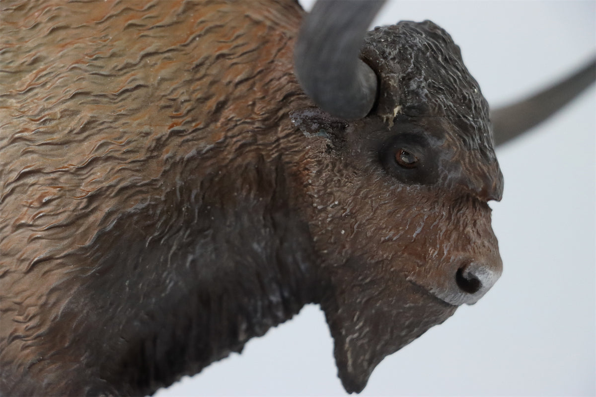 Alex Studio Bison latifrons Model – Lana Time Shop