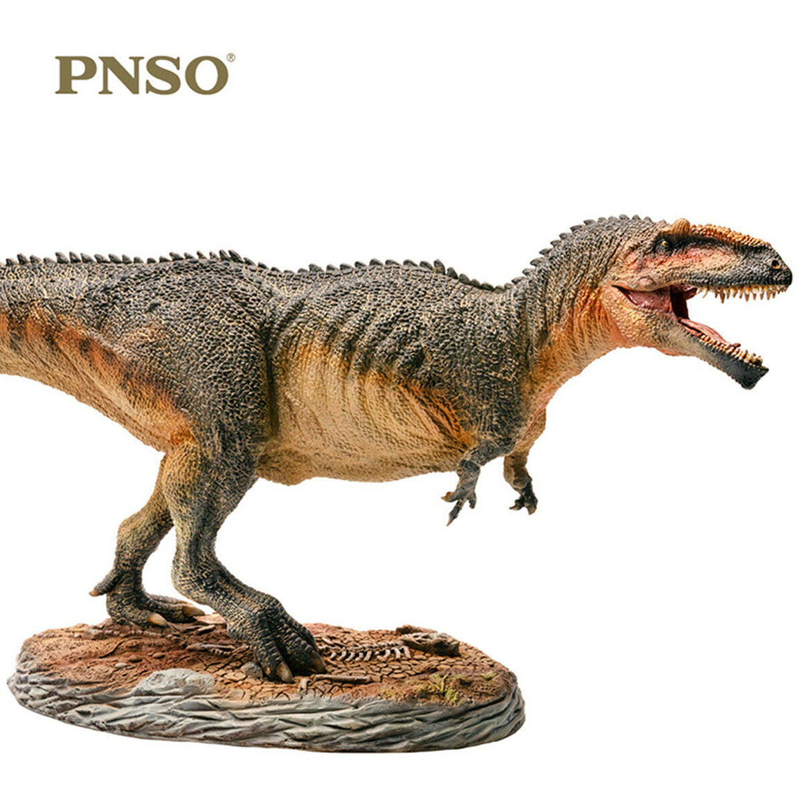 PNSO – Lana Time Shop