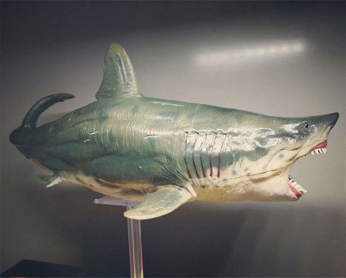 PNSO Patton the Megalodon Figure – Lana Time Shop